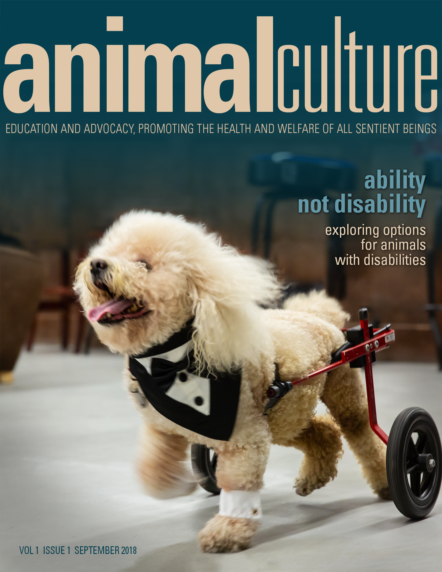 Ability not Disability. First Issue of Animal Culture magazine – Crip ...