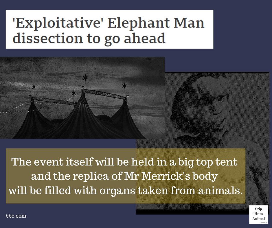 Disabled bodies on display: dissection of ‘elephant man’ – Crip HumAnimal