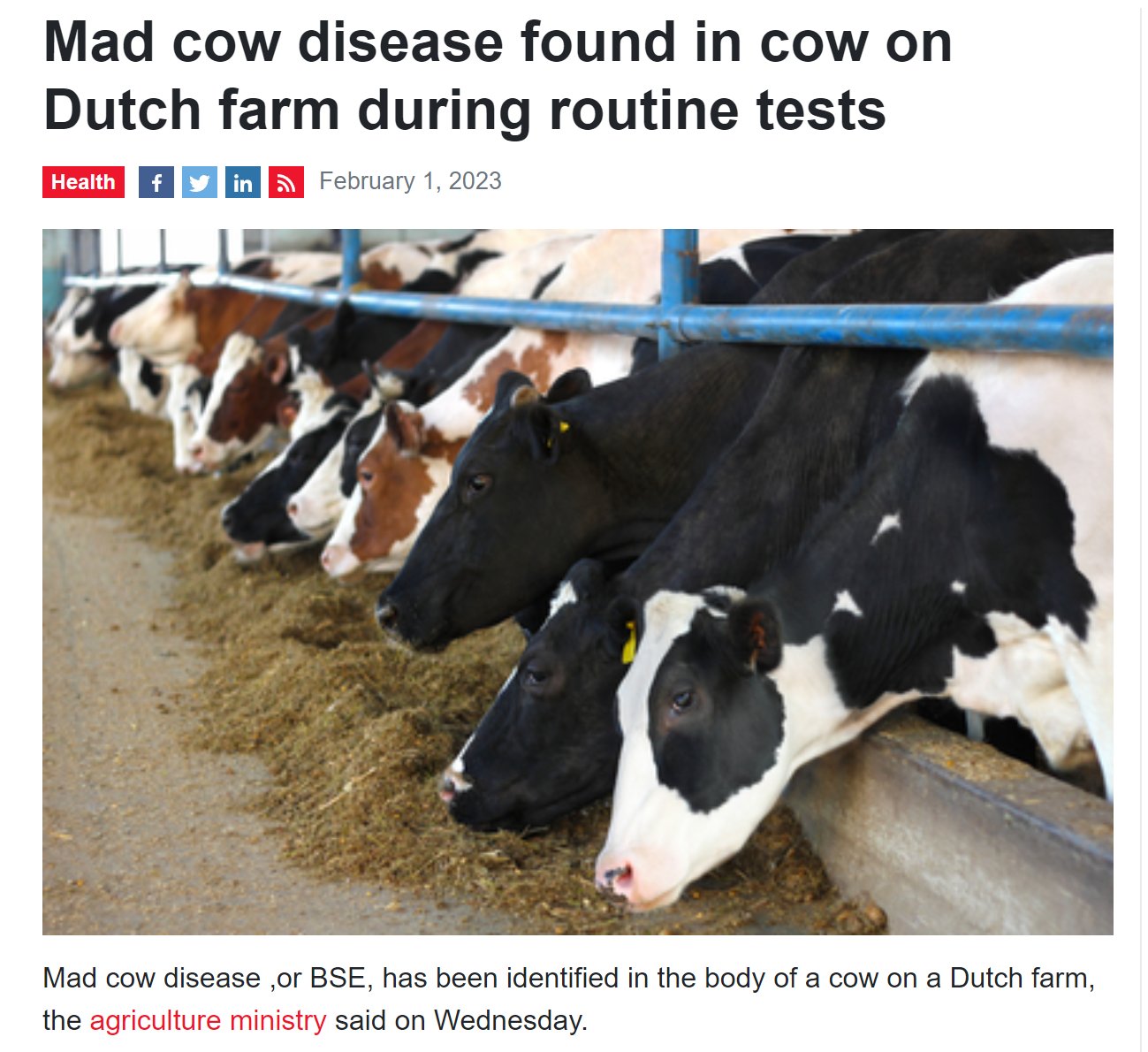 Mad cow disease on Dutch farm – Crip HumAnimal
